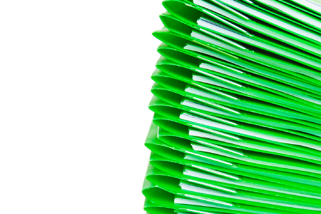 Bulk Order Guide: Where to Buy Custom Plastic Folders - SG Printz